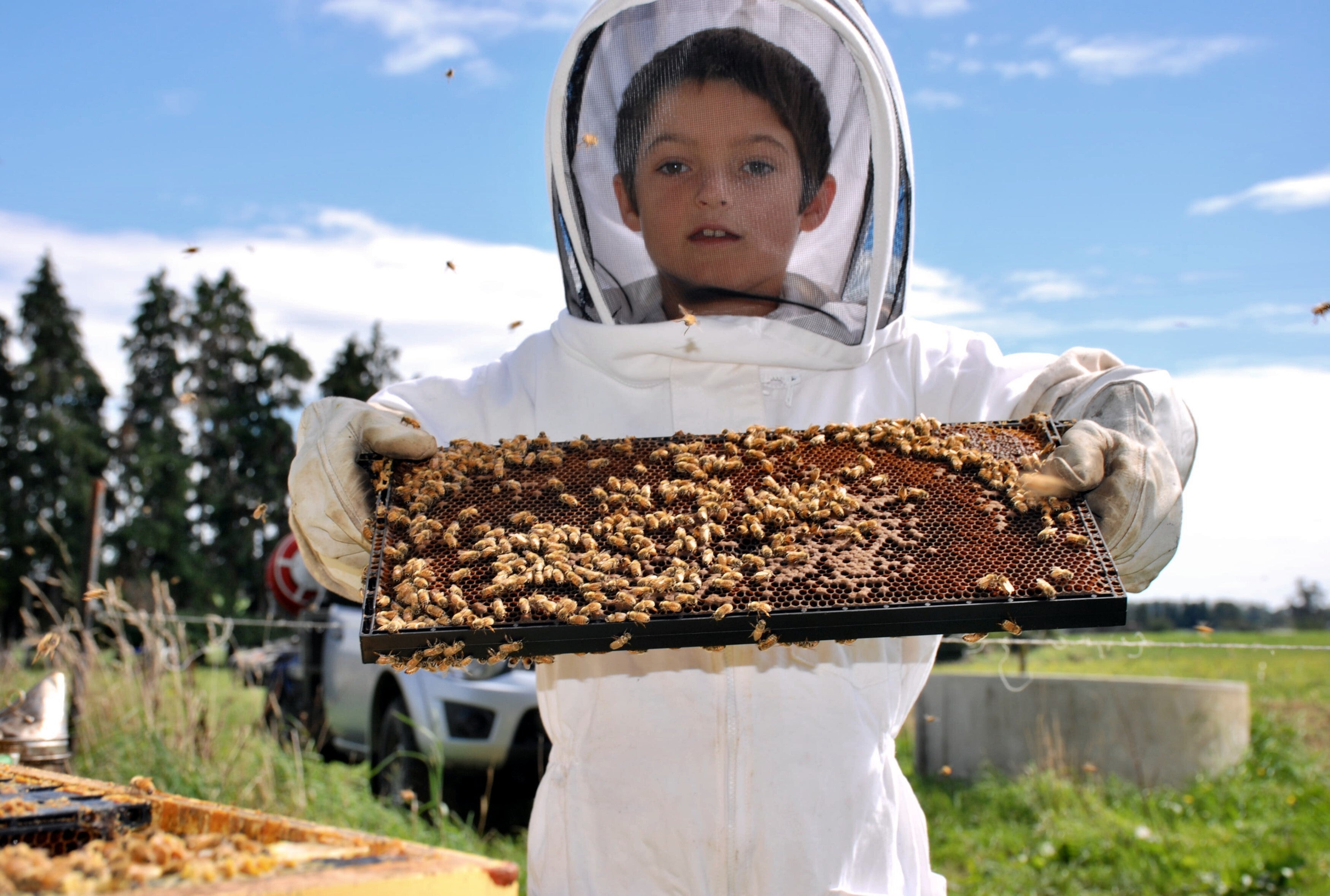 Quality Beekeeping Supplies & Accessories |Forest Beekeeping Supply